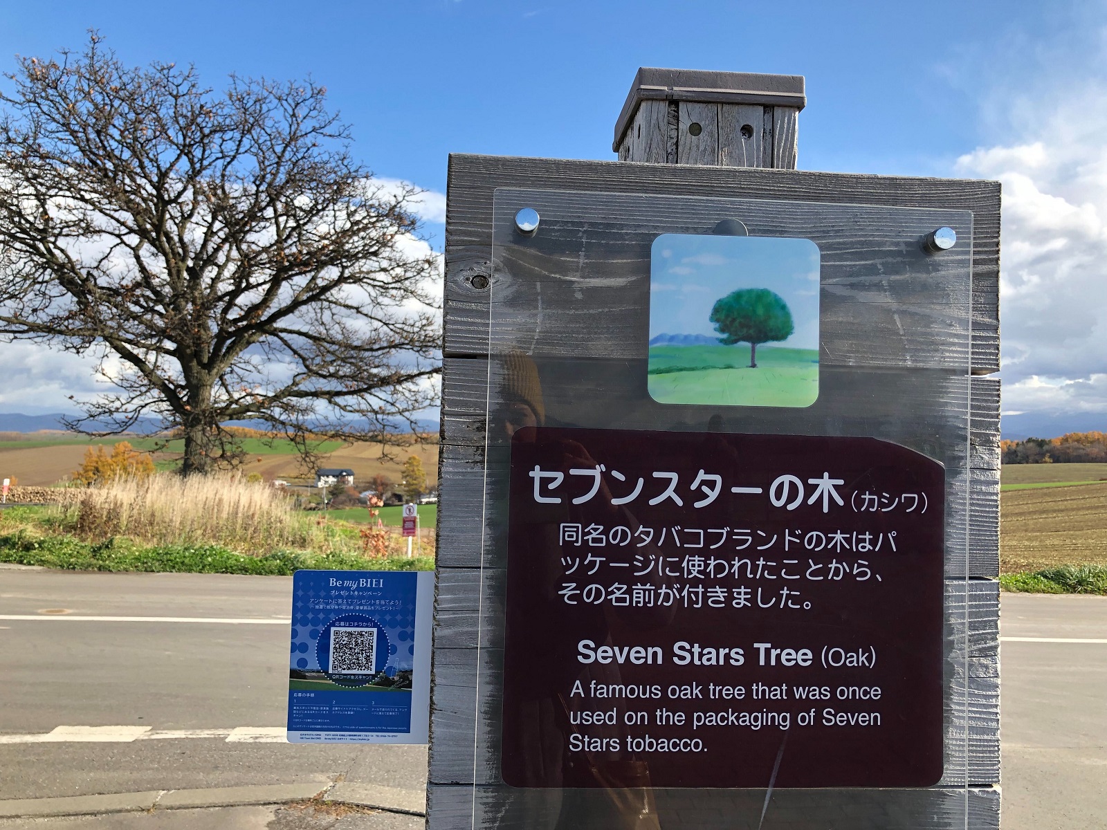 Biei: The village of patchwork hills | Hokkaido Treasure Island Travel