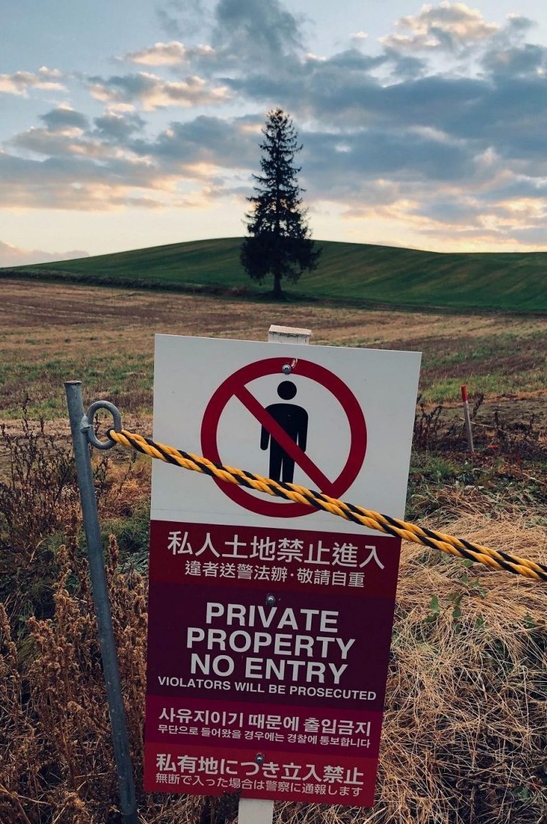 Biei: The village of patchwork hills | Hokkaido Treasure Island Travel