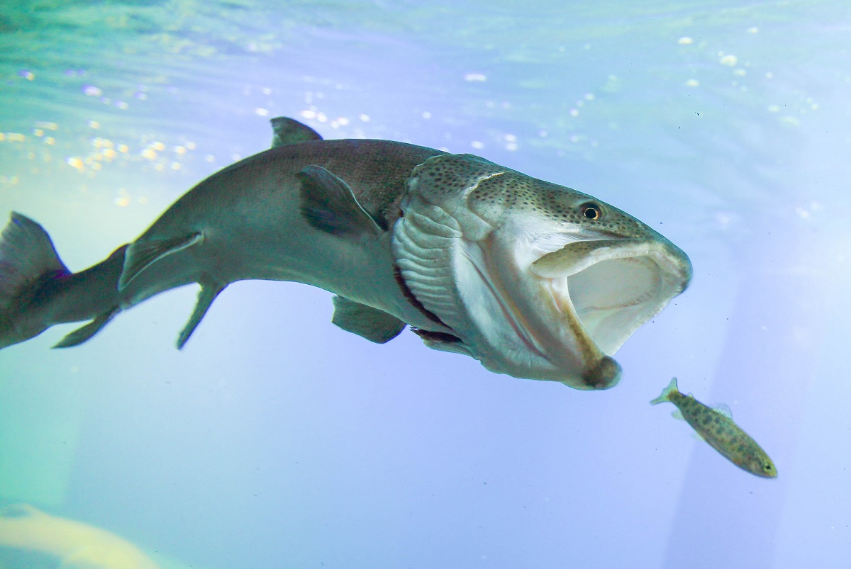 Kitami: The city at the crossroads of cultures | Hokkaido Treasure ...