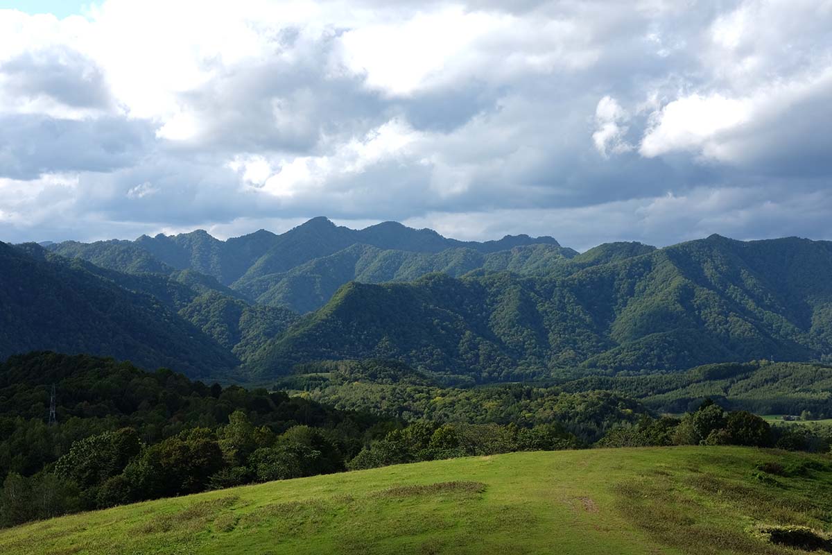 Explore Hidaka: A Unique Hokkaido Tour to Japan’s Thoroughbred ...