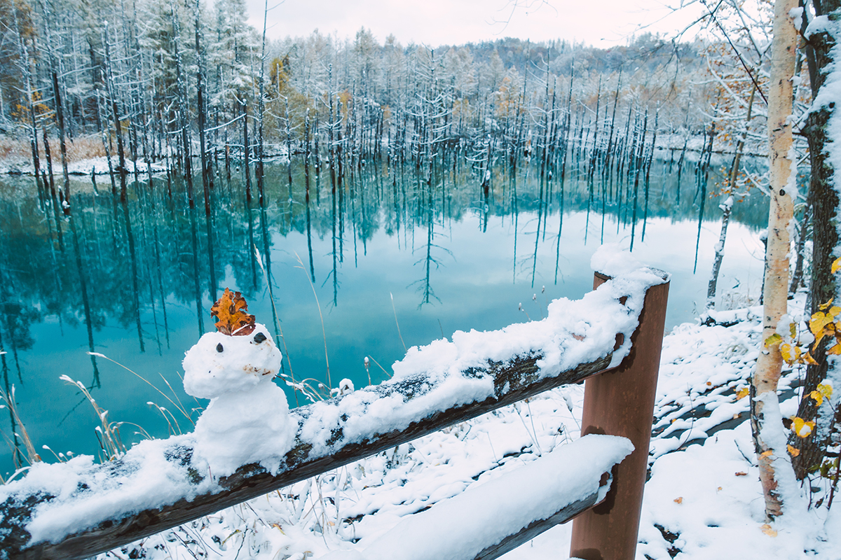 Winter Family Holiday In Central Hokkaido | Hokkaido Treasure ...